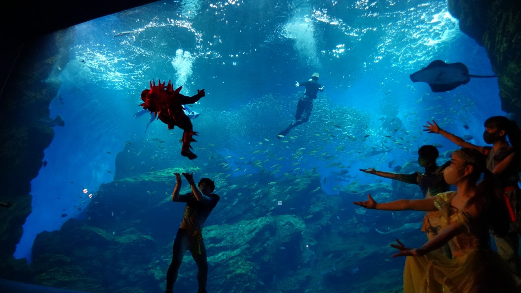 NIGHT AQUARIUM THEATER 「SEATOPIA」 | 仙台うみの杜水族館