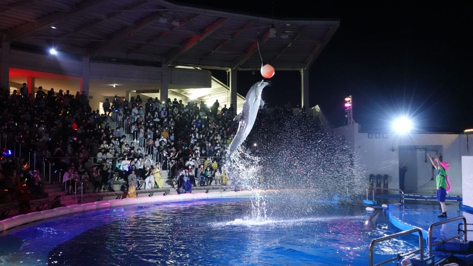 NIGHT AQUARIUM THEATER 「SEATOPIA」 | 仙台うみの杜水族館